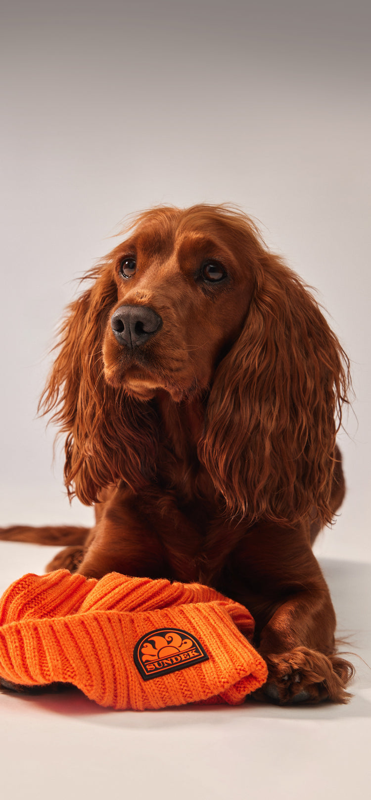 Apparel, Beachwear and Swimwear: Sundek Official – SUNDEK