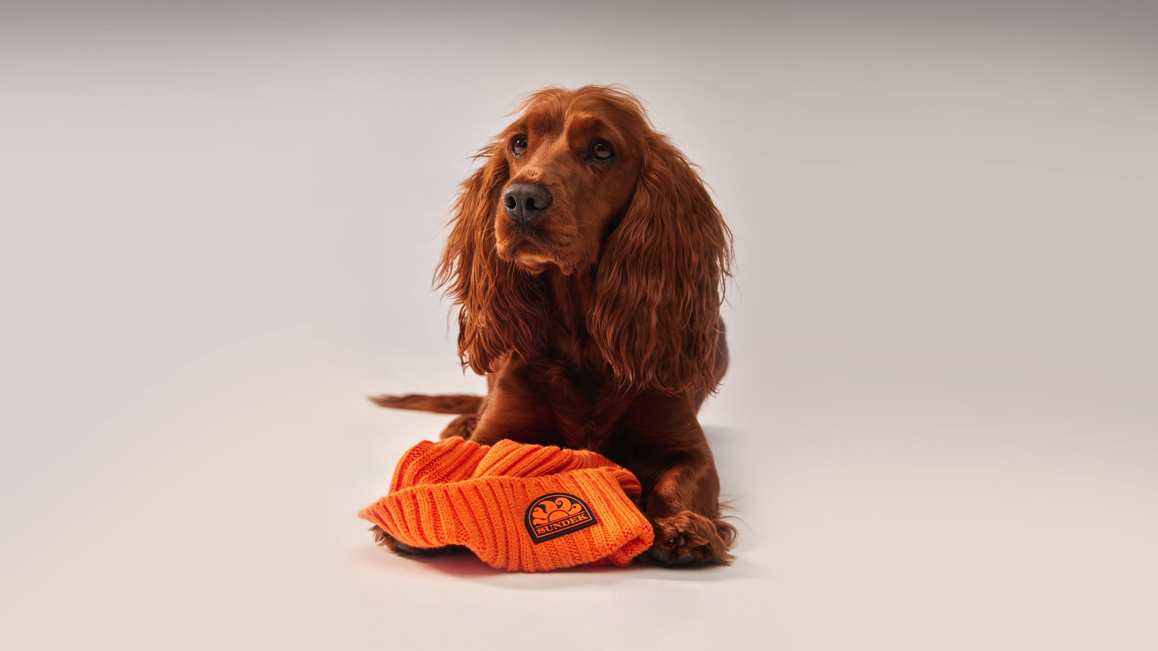 Apparel, Beachwear and Swimwear: Sundek Official – SUNDEK